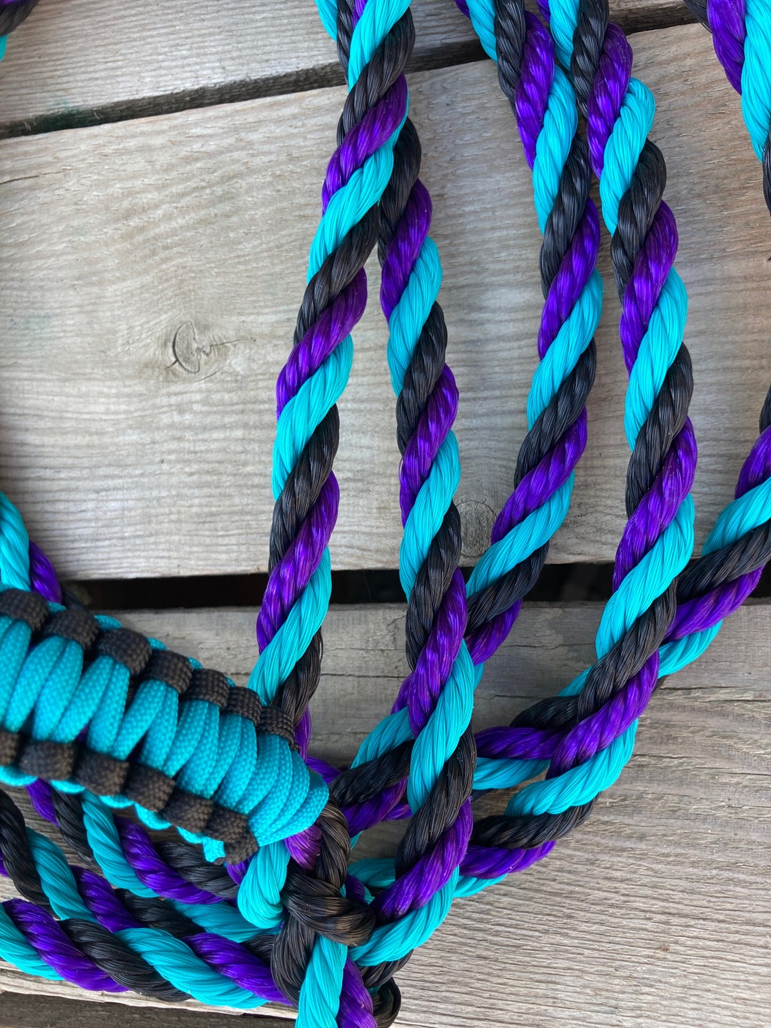 Cow Halter-black With Teal, Black and Purple. Nose Band - Etsy