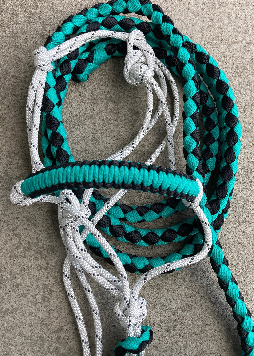 Mini Donkey Halter-lead Rope-teal and Black - Etsy