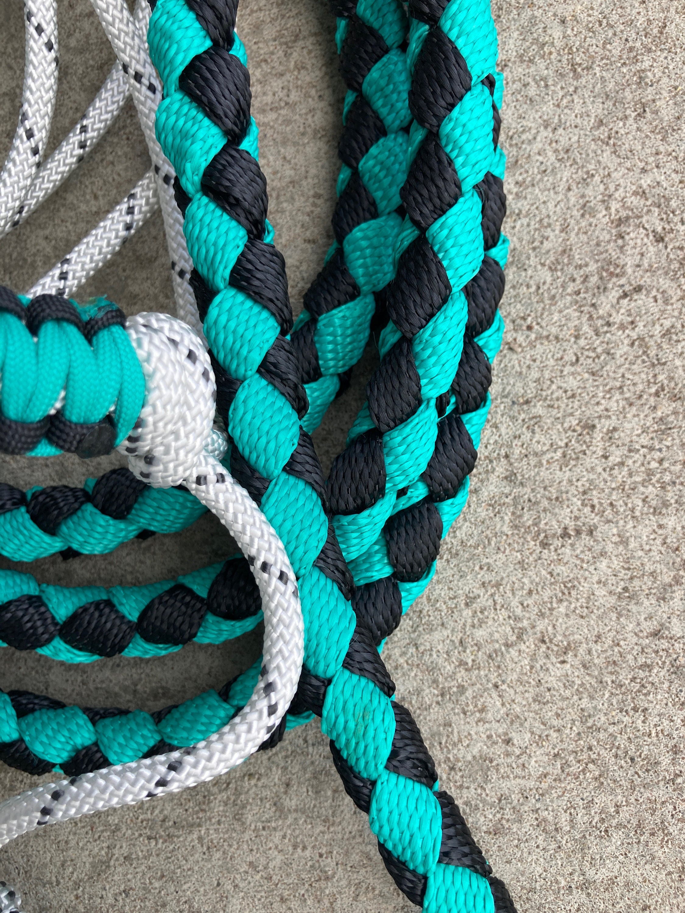 Mini Donkey Halter-lead Rope-teal and Black - Etsy