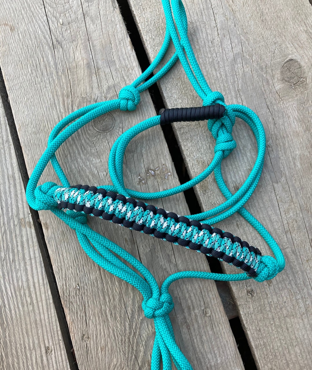 D04-mini Donkey Halter-teal With Black. Matching Lead Available. - Etsy