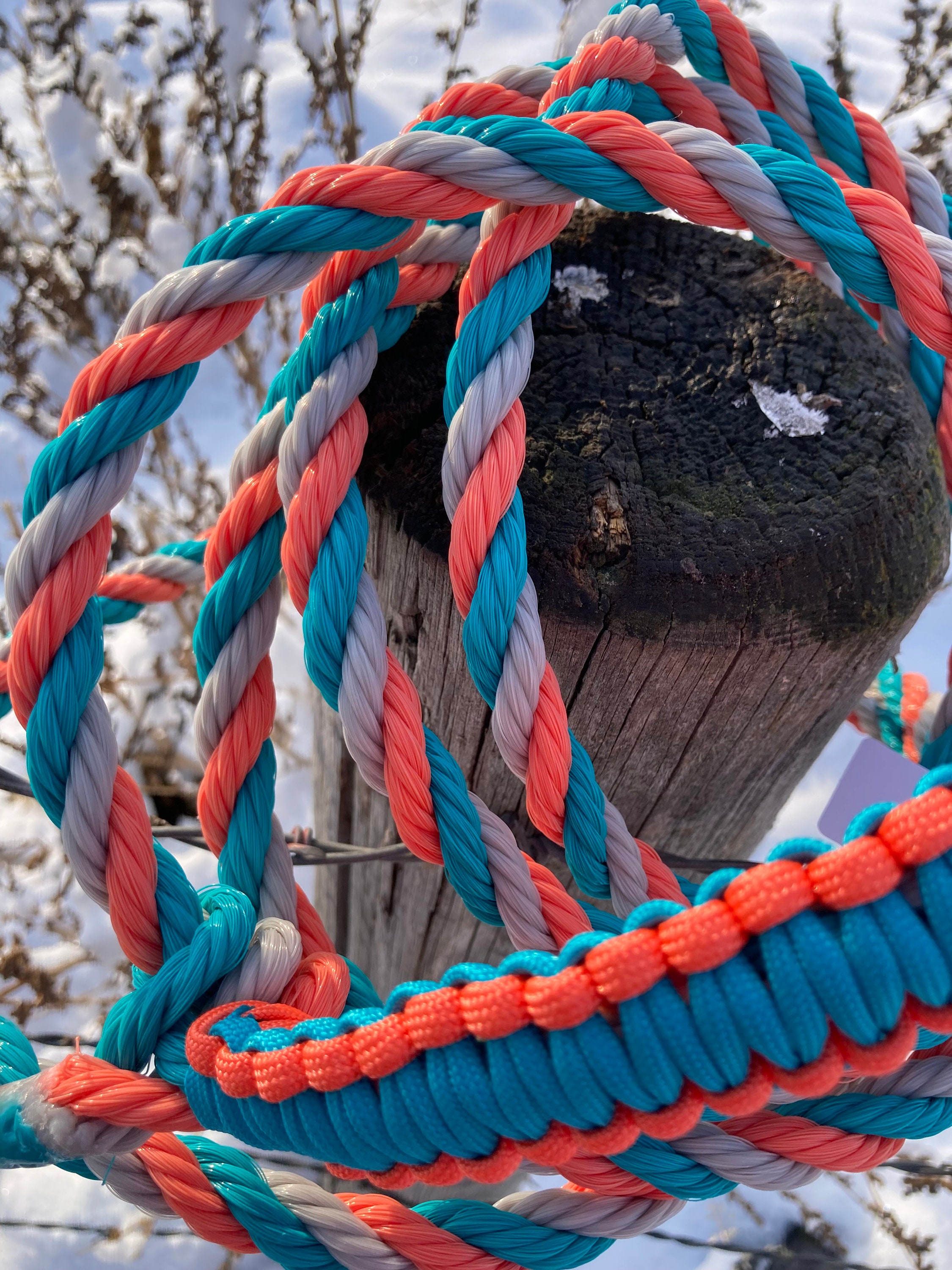 Cow Rope Halter-teal-peach - Etsy