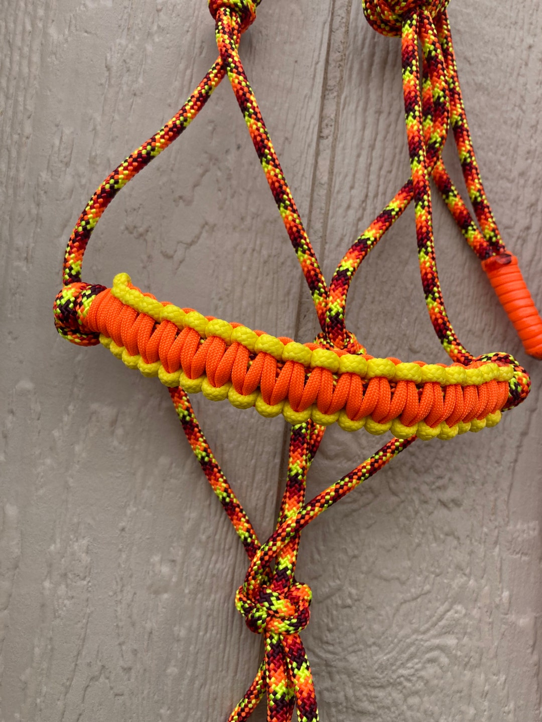 NEW!!!! Mini Donkey Halter-neon Yellow , Orange, Black, Ref - Etsy