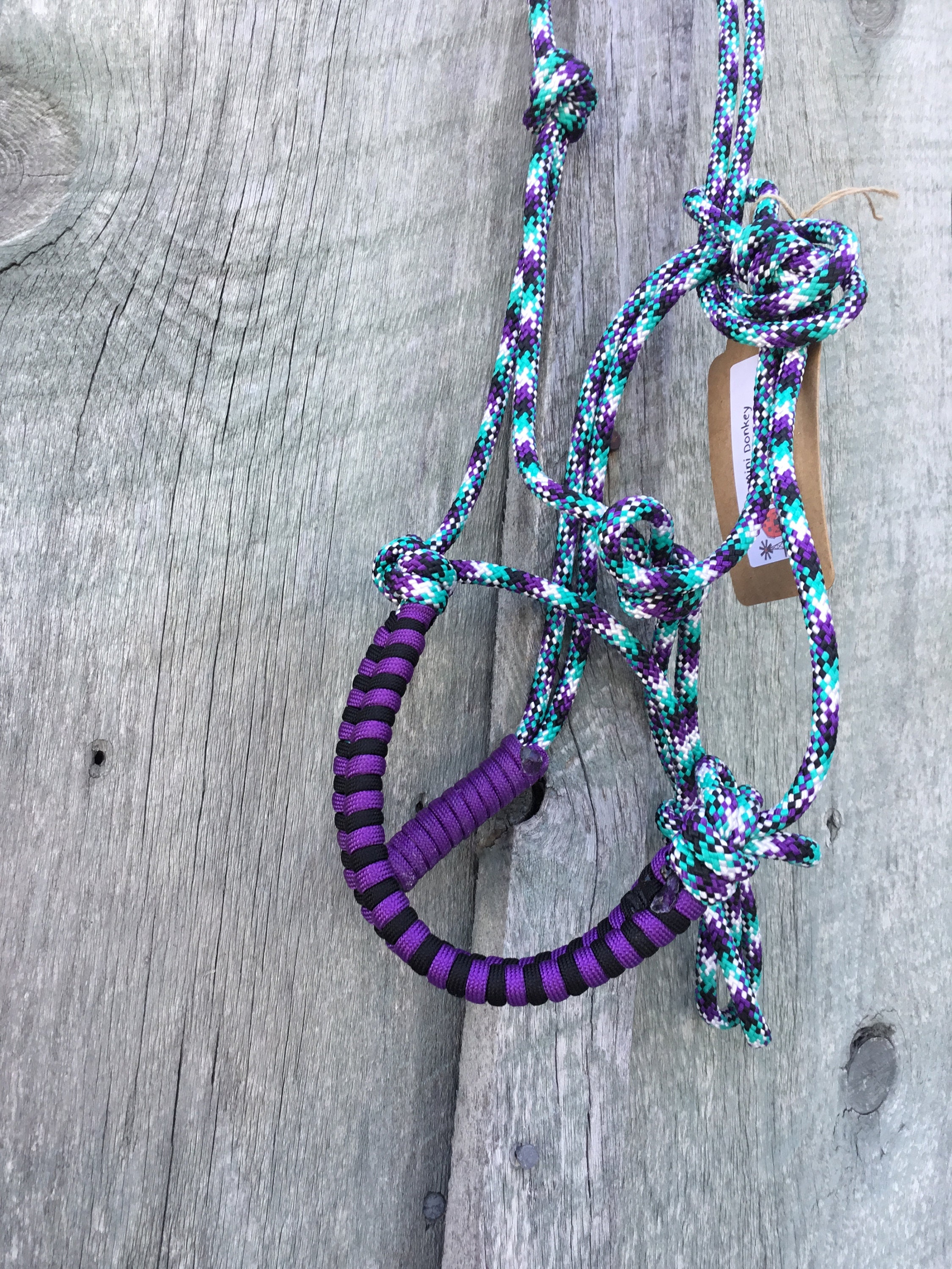 Mini Donkey Halter-turquoise, Purple and Black With Noseband - Etsy