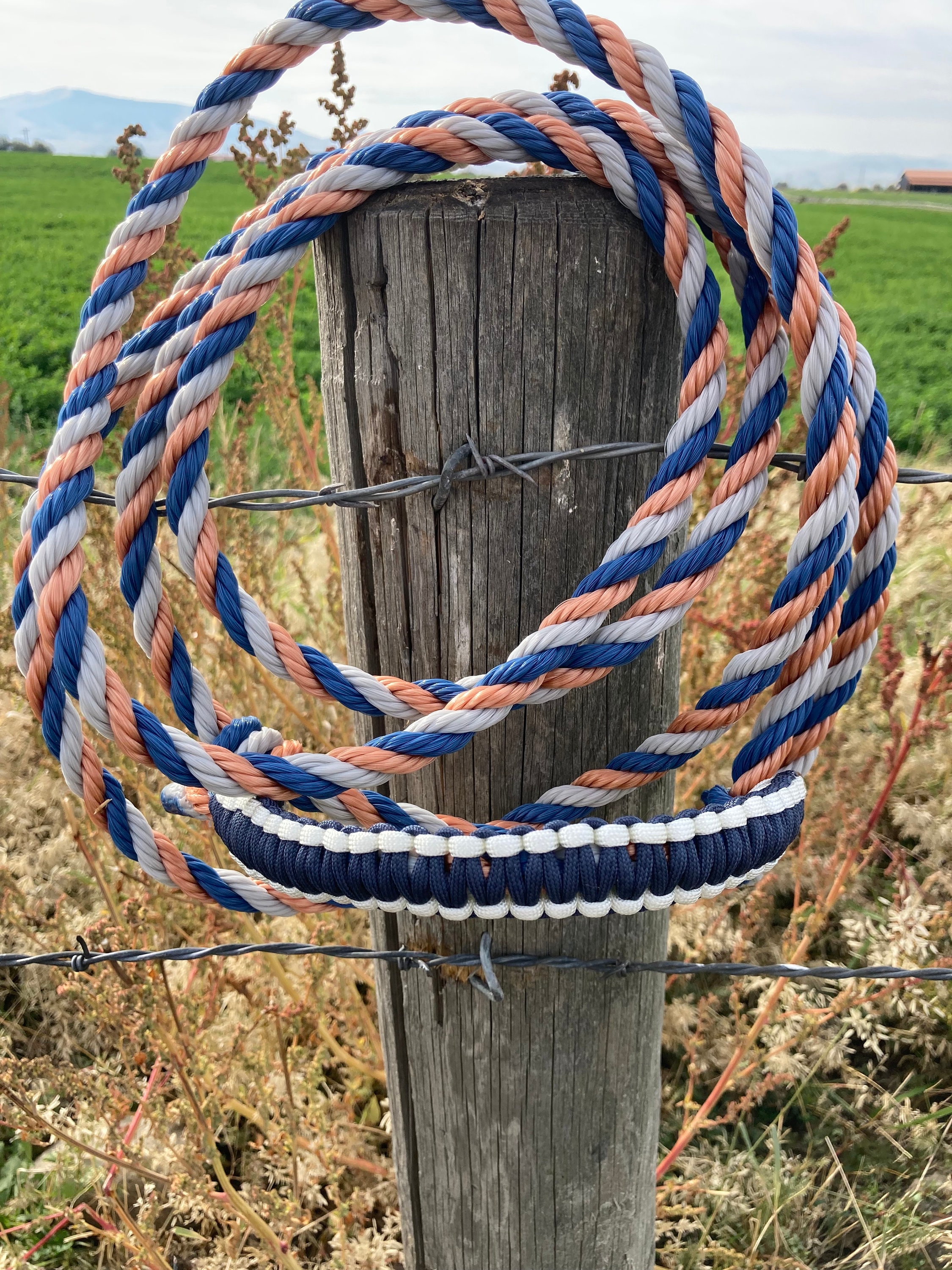 Cow Rope Halter-navy-coral-white - Etsy