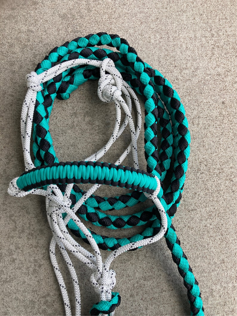 Mini Donkey Halter-lead Rope-teal and Black - Etsy
