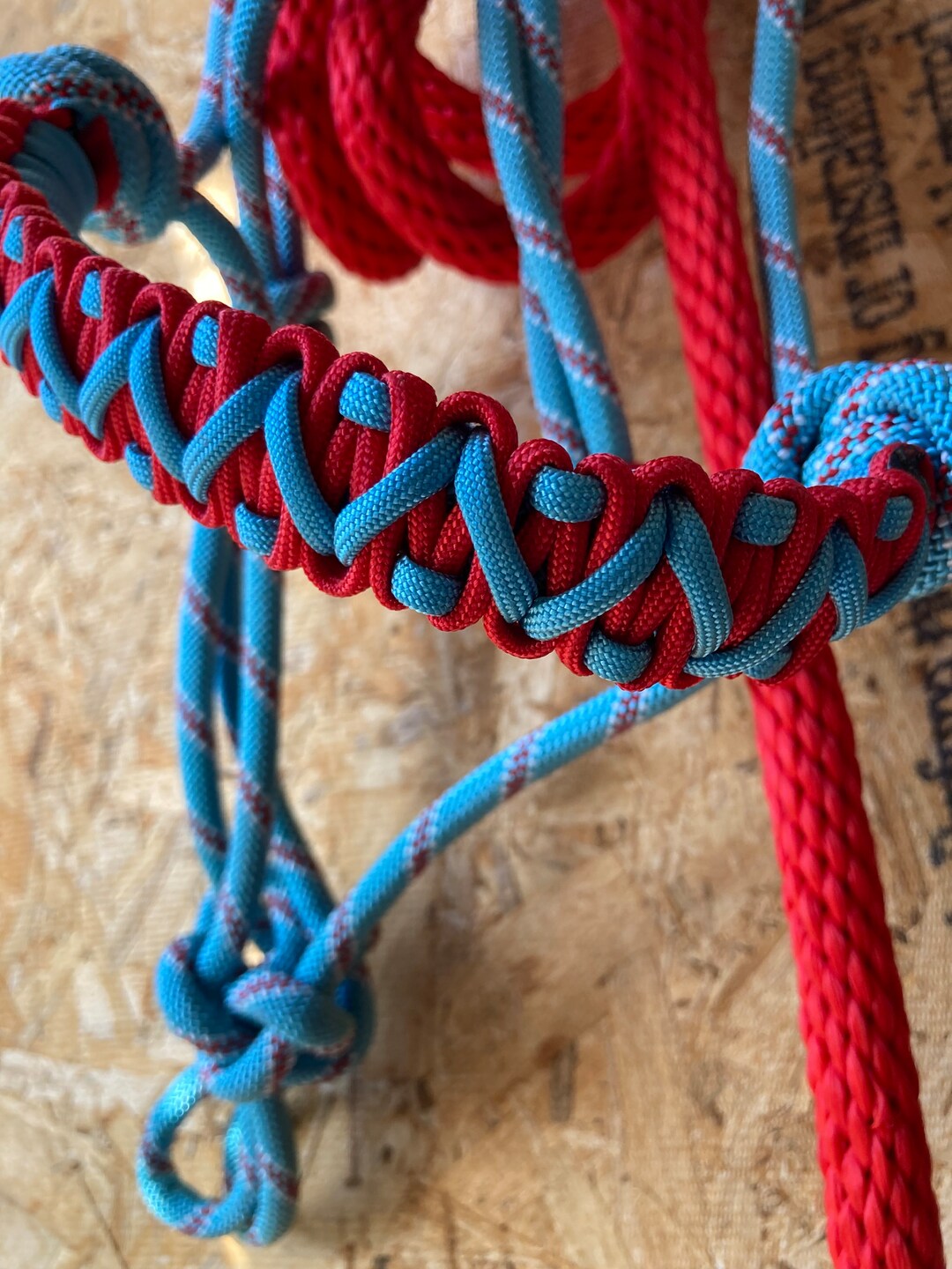 Hand-tied Horse Halter: Braided Noseband, Red Lead Rope - Etsy
