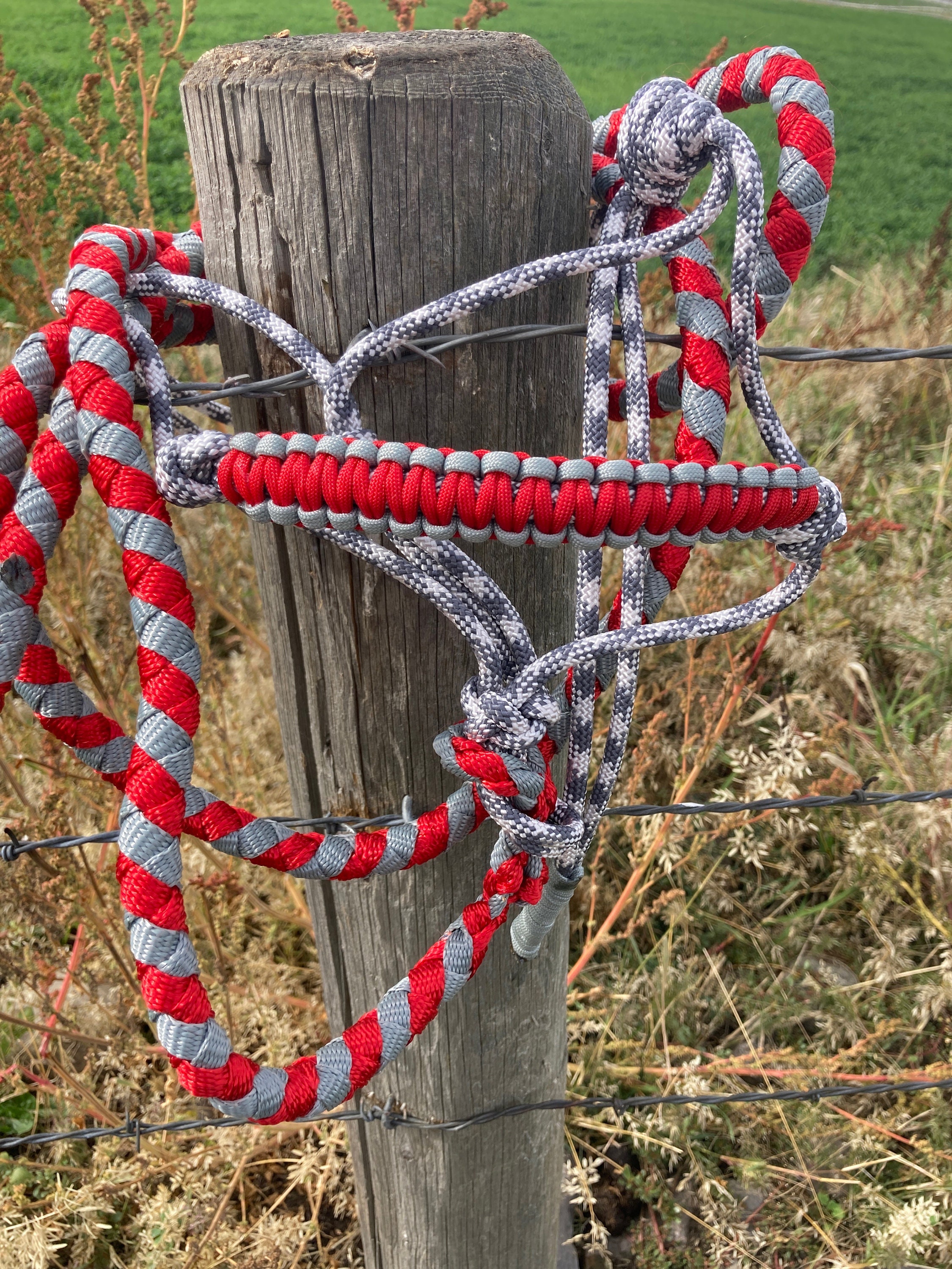 Mini Donkey Halter-lead Rope-red and Gray - Etsy