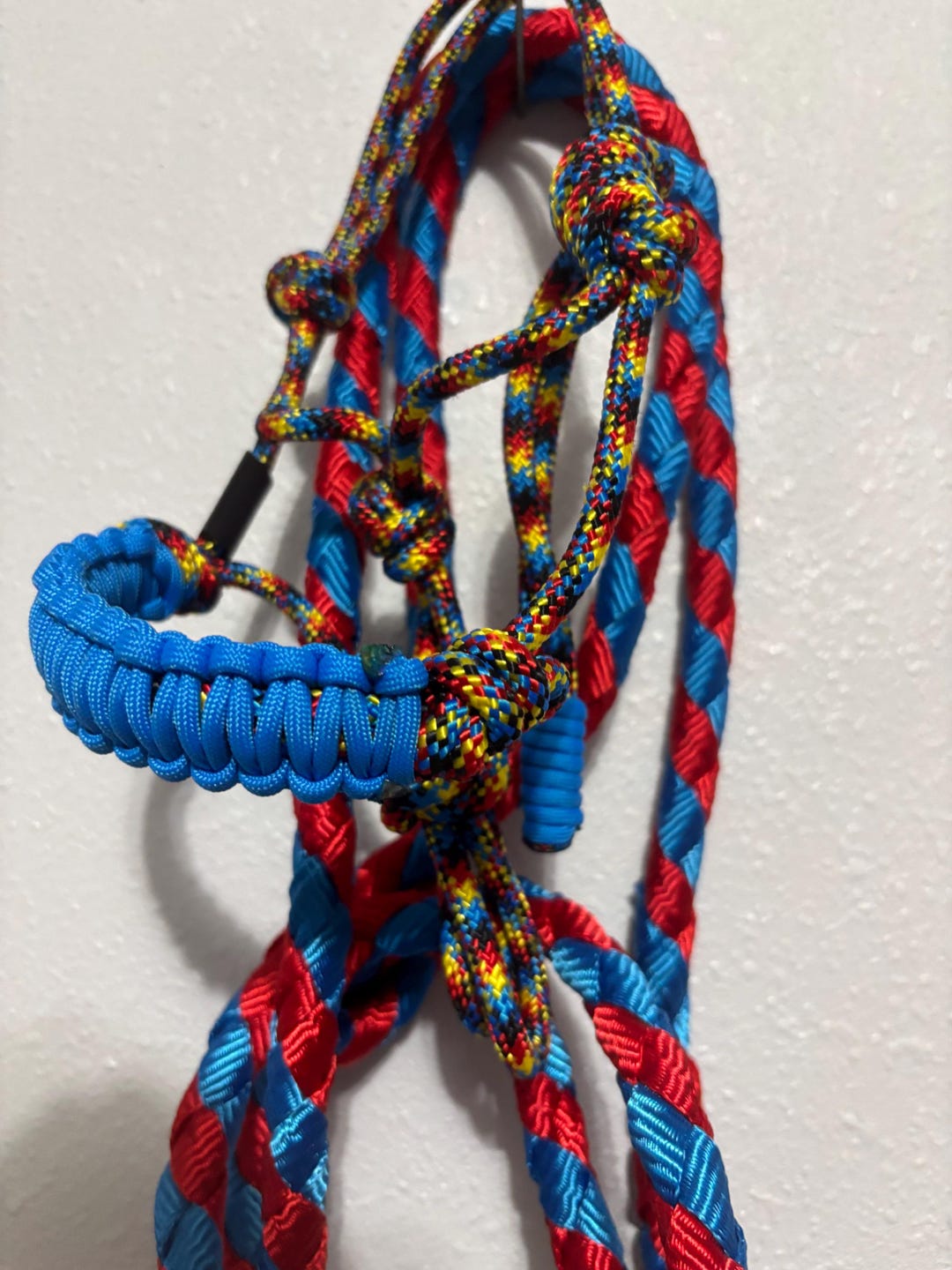 Mini Donkey Halter- Multi-colored. Colorful Noseband. - Etsy