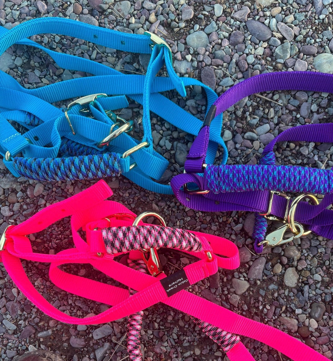 Sheep /goat Halter-nylon With Buckles - Etsy