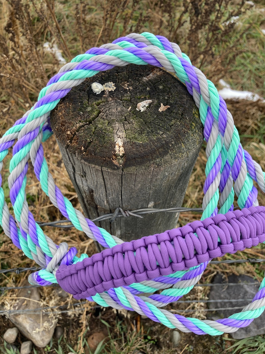 Cow Halter-with Light Green, Purple and White With Braided Nose Band - Etsy