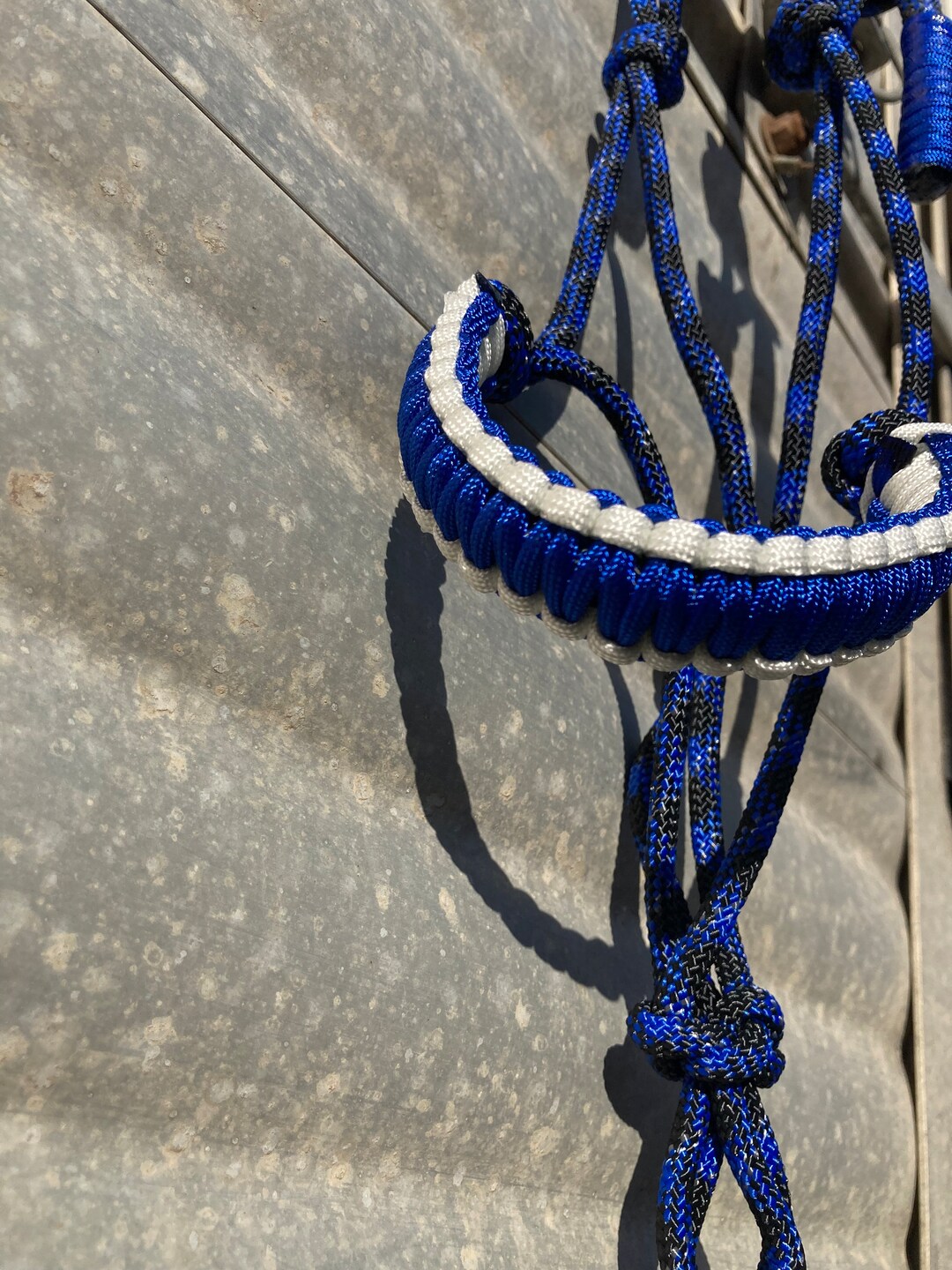 Mini Donkey Halter-royal Blue With Black and White - Etsy