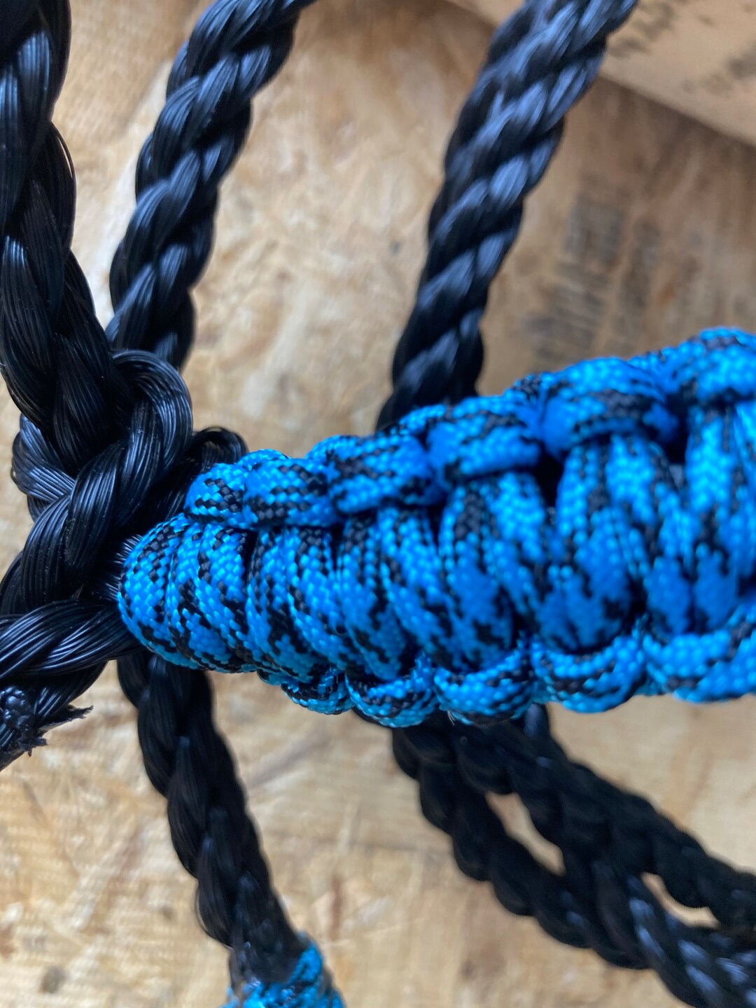 Calf Halter-black With Turquoise - Etsy