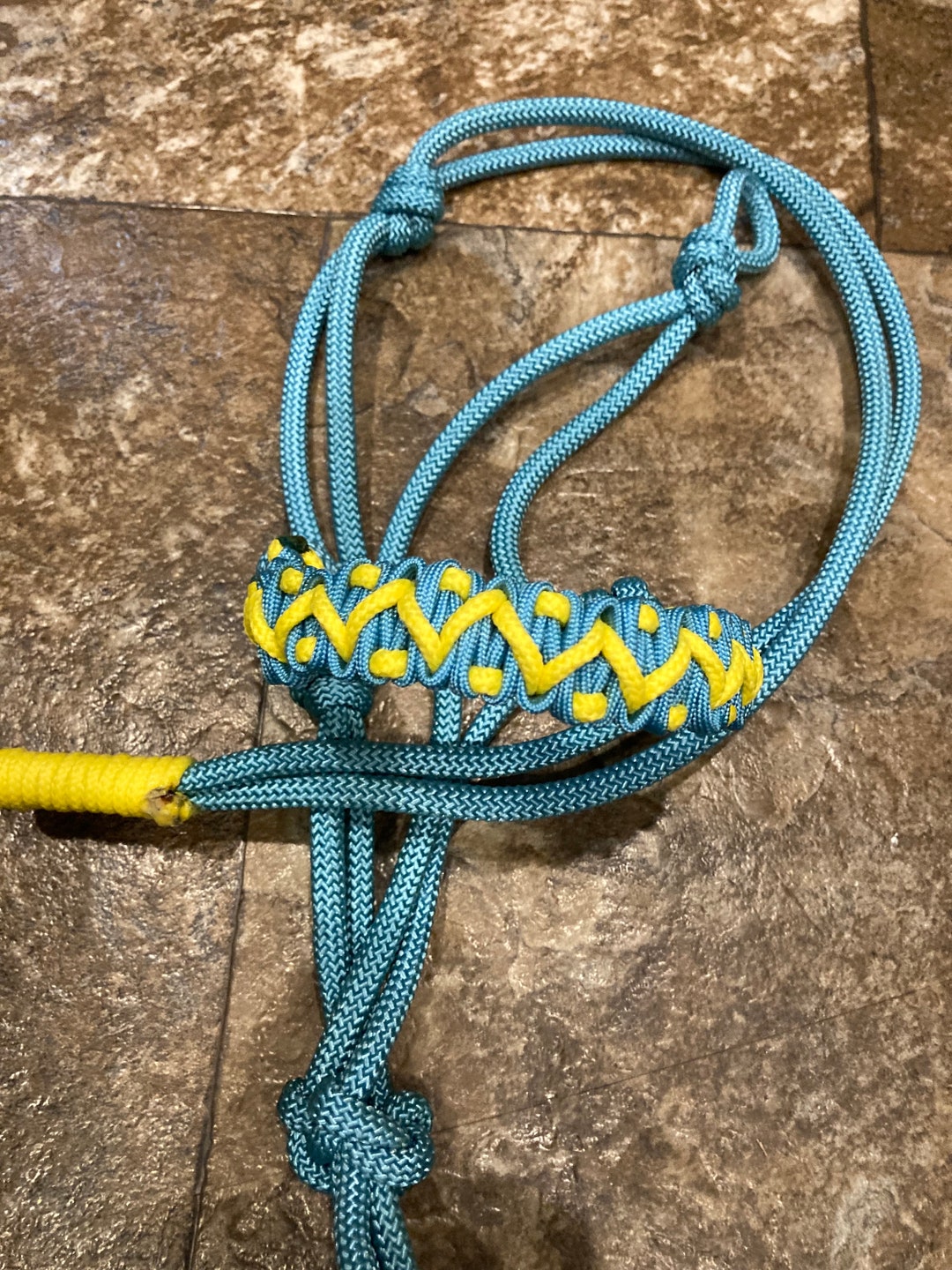 NEW!!!! Mini Donkey Halter-carolina Blue and Yellow - Etsy