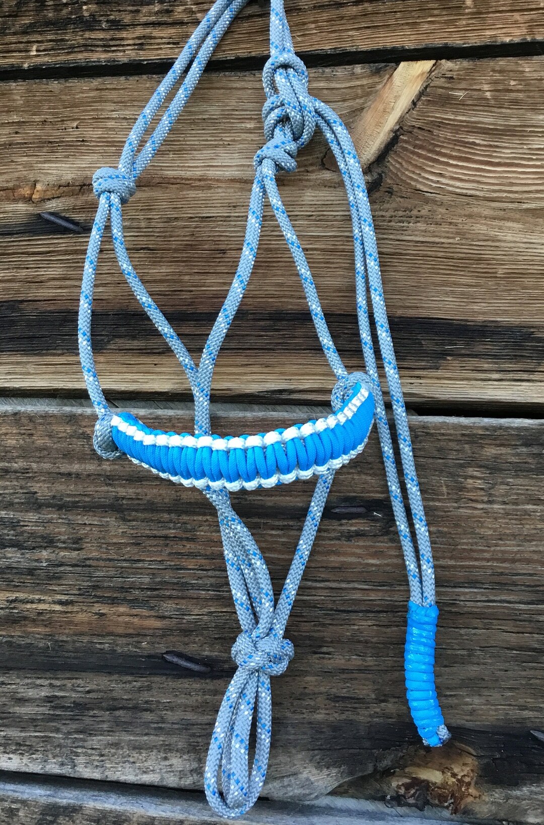 Mini Donkey Halter-blue Gray - Etsy
