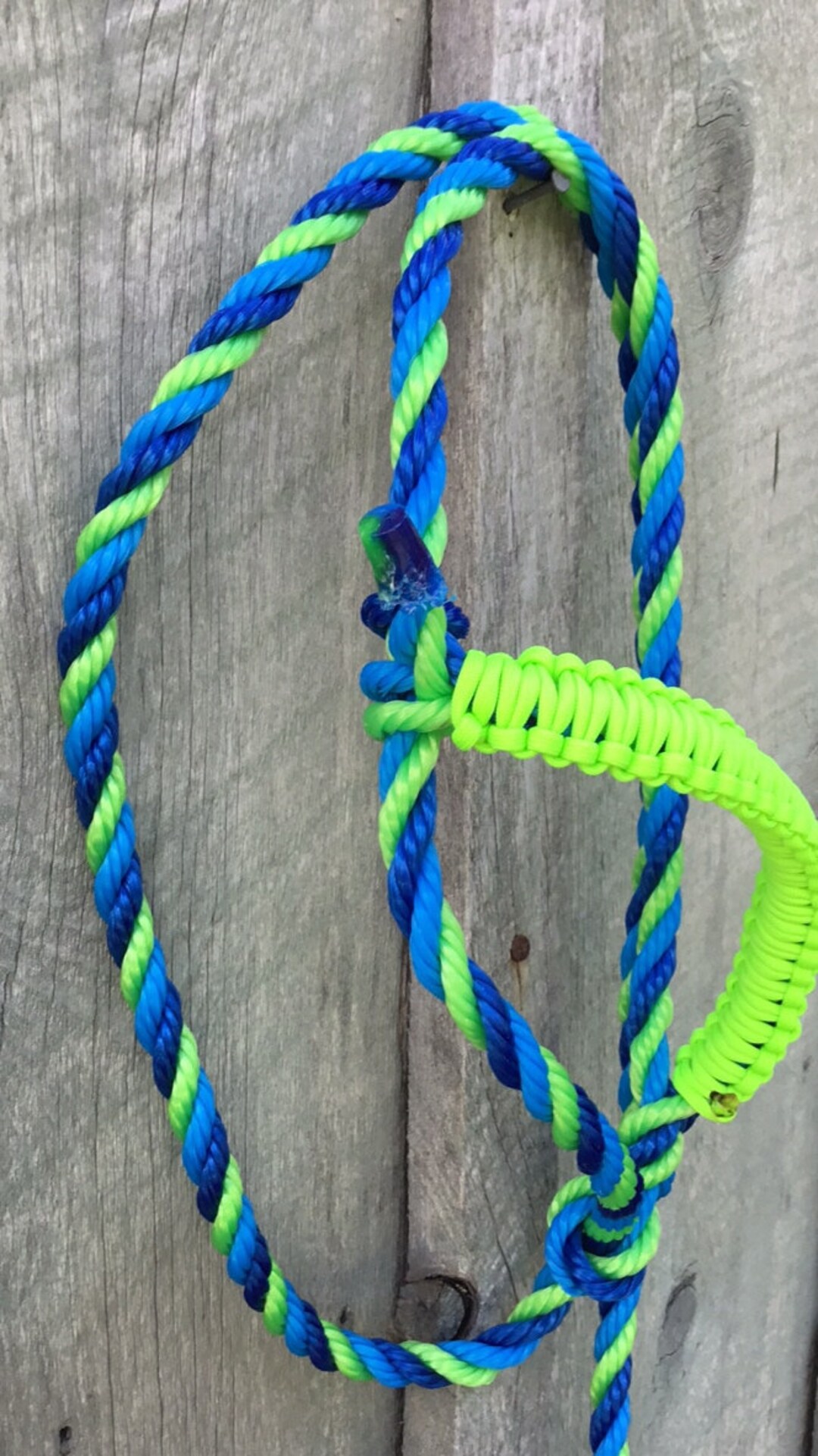Cow Halter-green-blue With Green Nose Band - Etsy