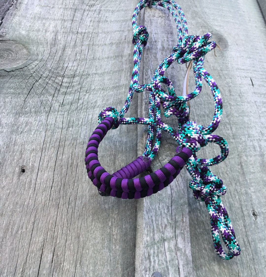 Mini Donkey Halter-turquoise, Purple and Black With Noseband - Etsy