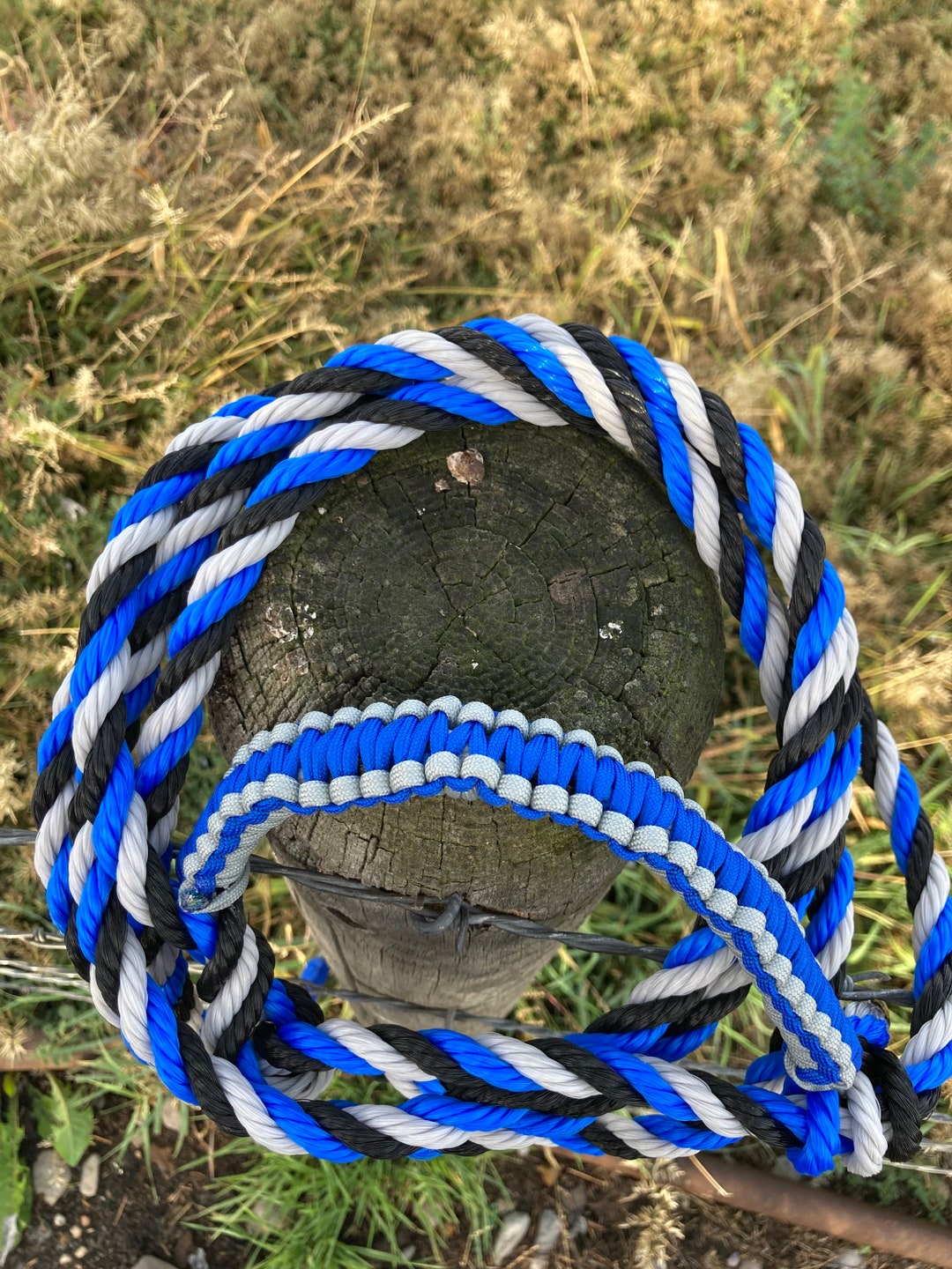 Cow Halter-black With Blue, Black and Gray With Braided Nose Band - Etsy