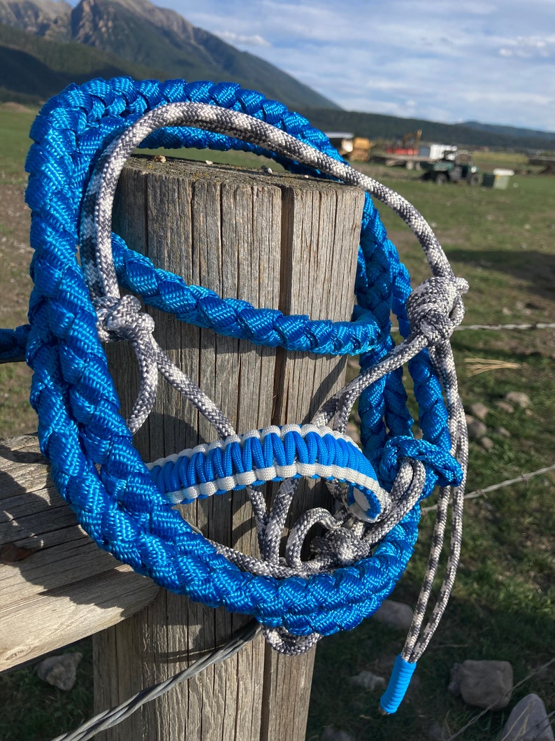 Mini Donkey Halter-lead Rope-blue and Gray - Etsy Australia