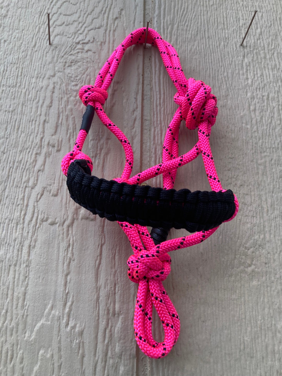 Foal Mini Donkey Halter-hot Pink With Black Noseband - Etsy