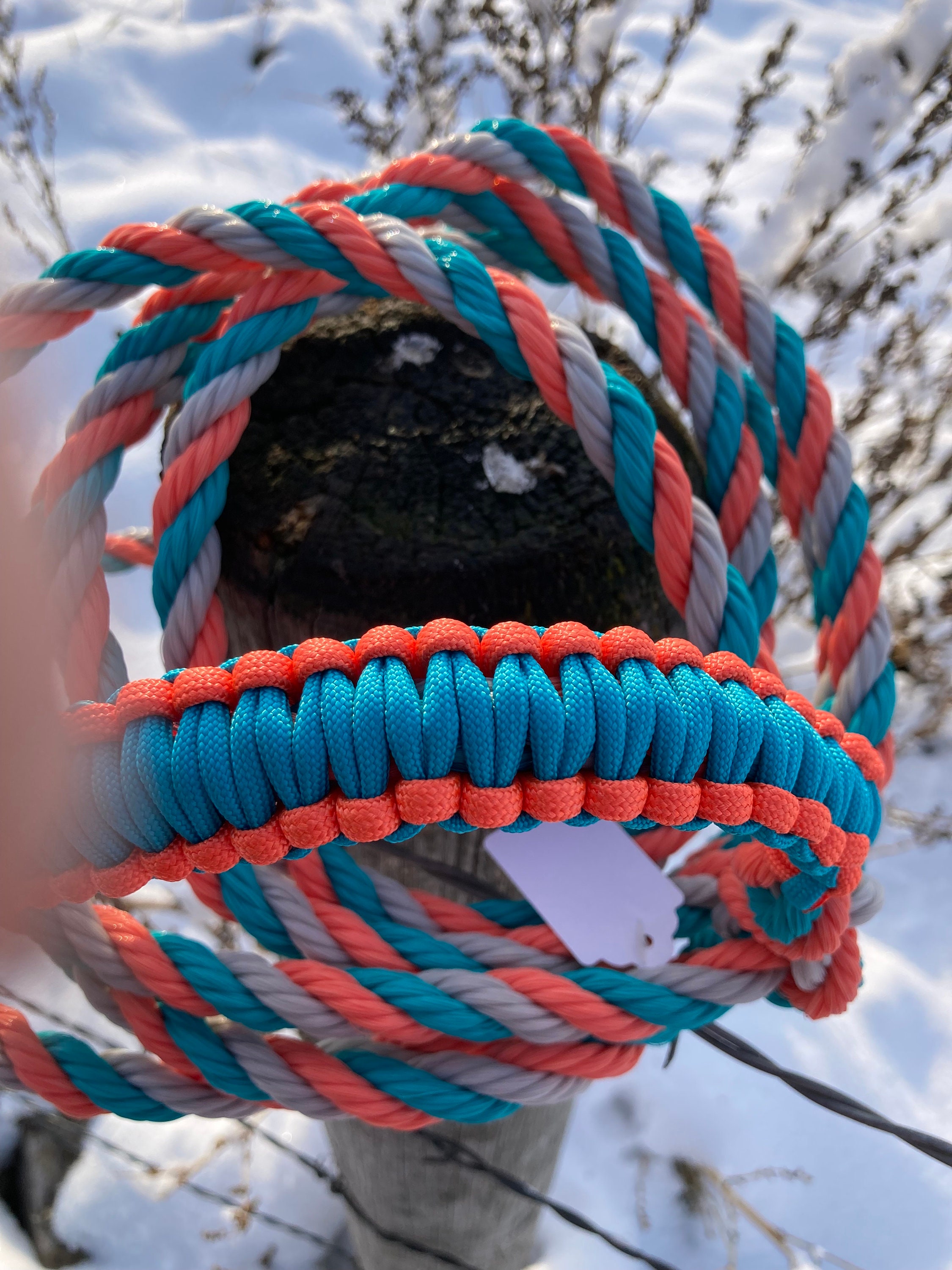 Cow Rope Halter-teal-peach - Etsy