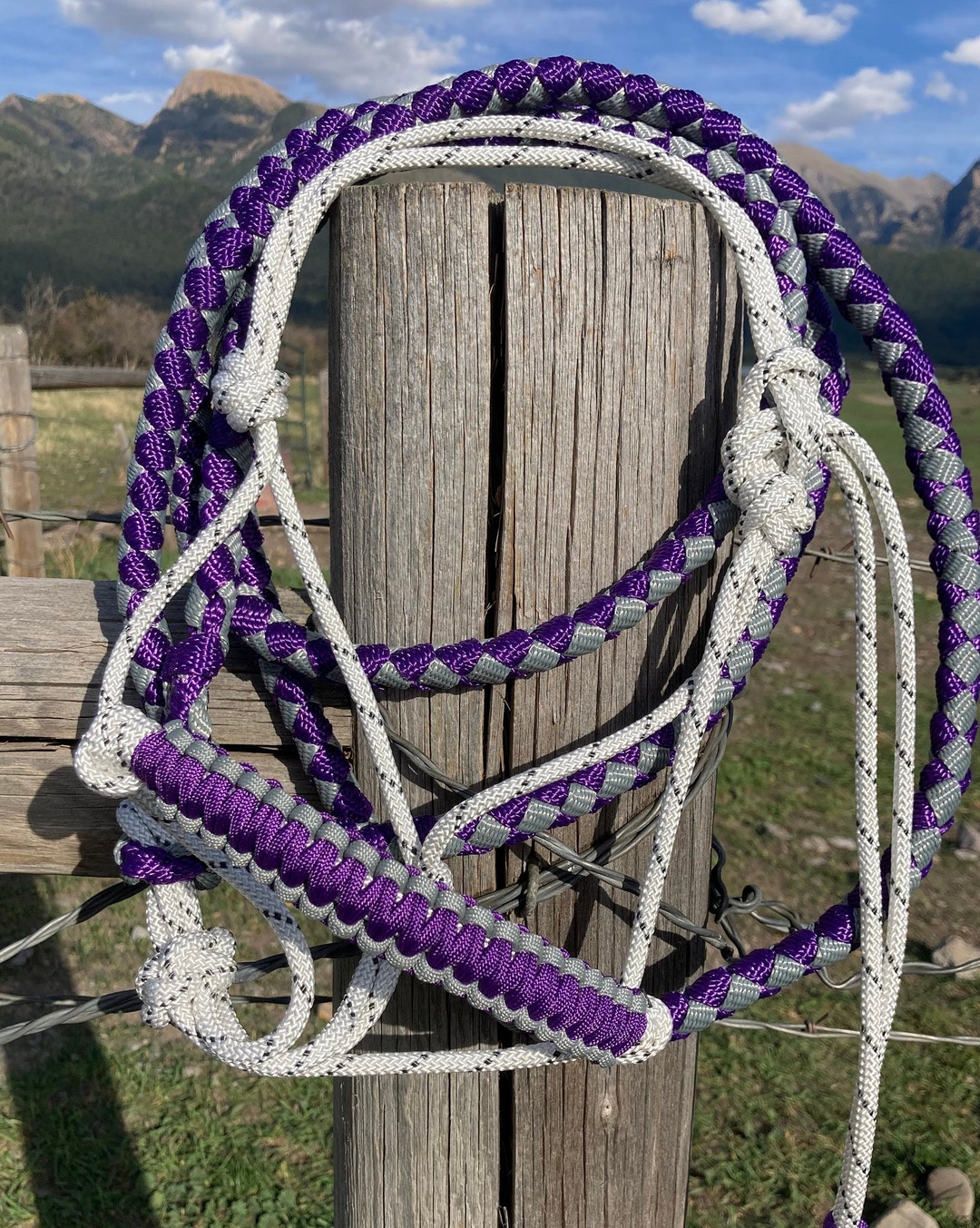 Mini Donkey Halter-lead Rope-purple and Gray - Etsy