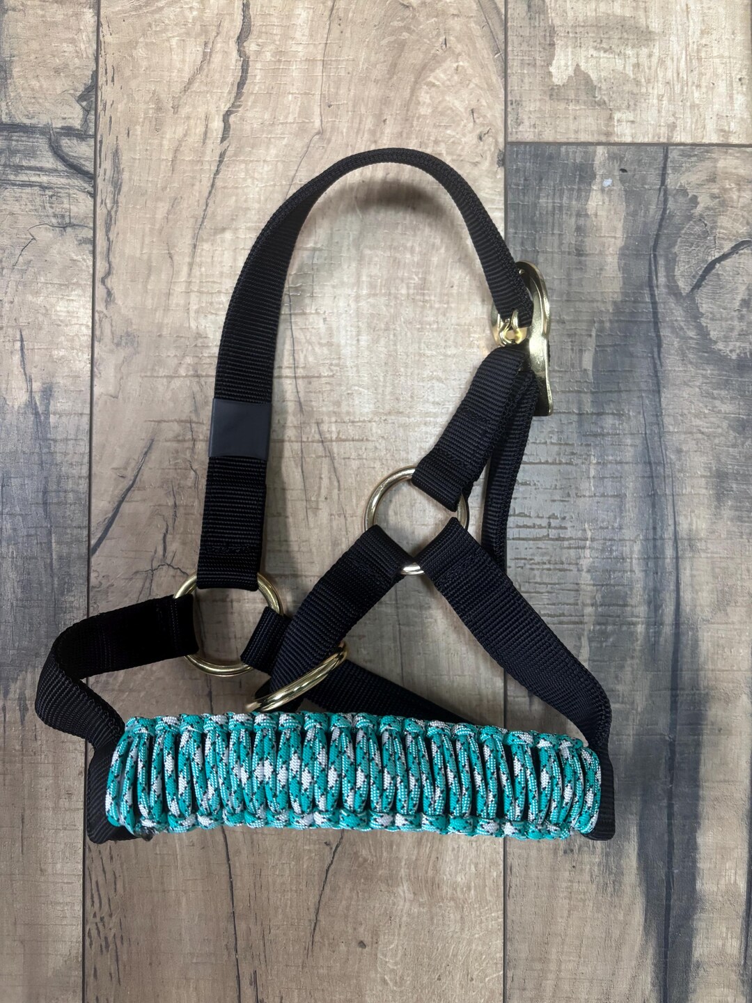 Nylon Cow Halters Black With Color Options - Etsy