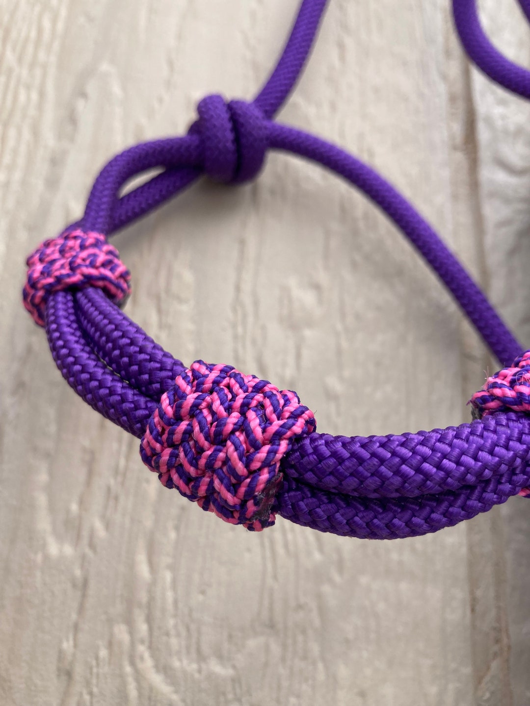 Horse Halter-purple Rope Halter With Pink - Etsy