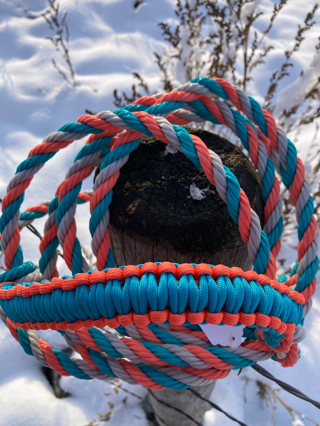 Cow Rope Halter-teal-peach - Etsy