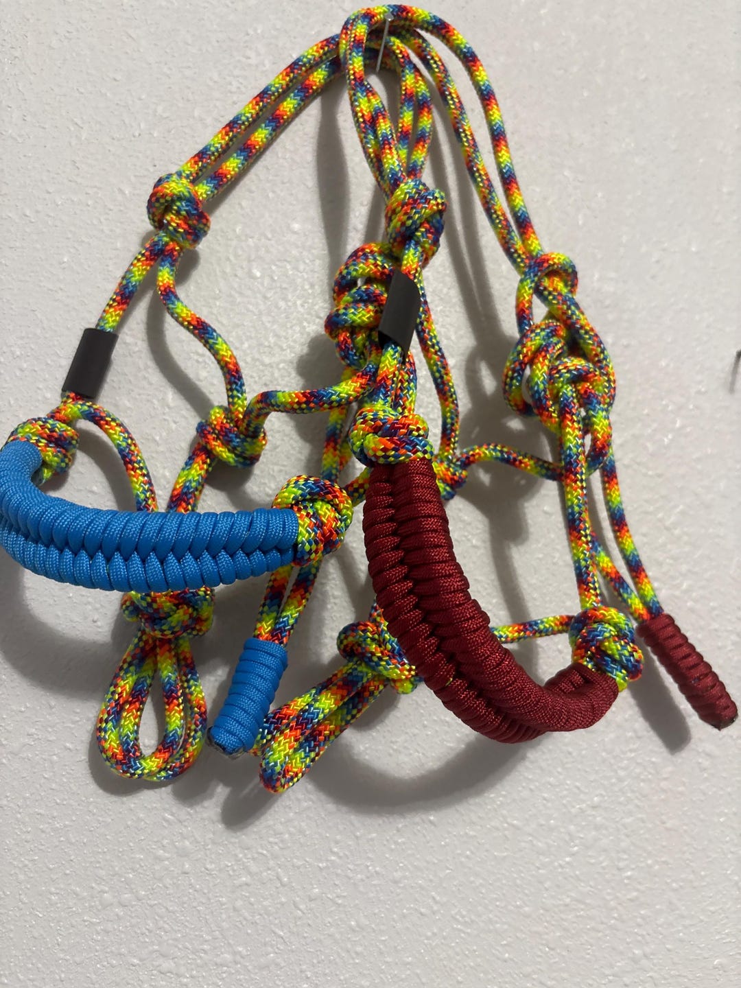 Foal Mini Donkey Halter-colorful - Etsy