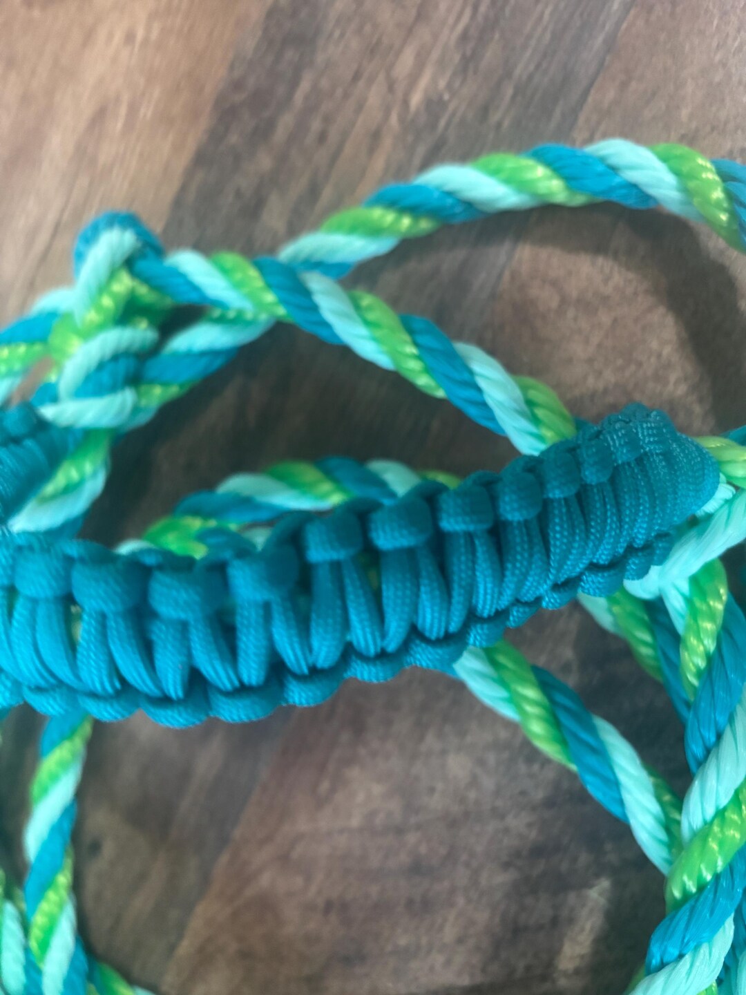 A11-cow Halter-teal With Lime - Etsy