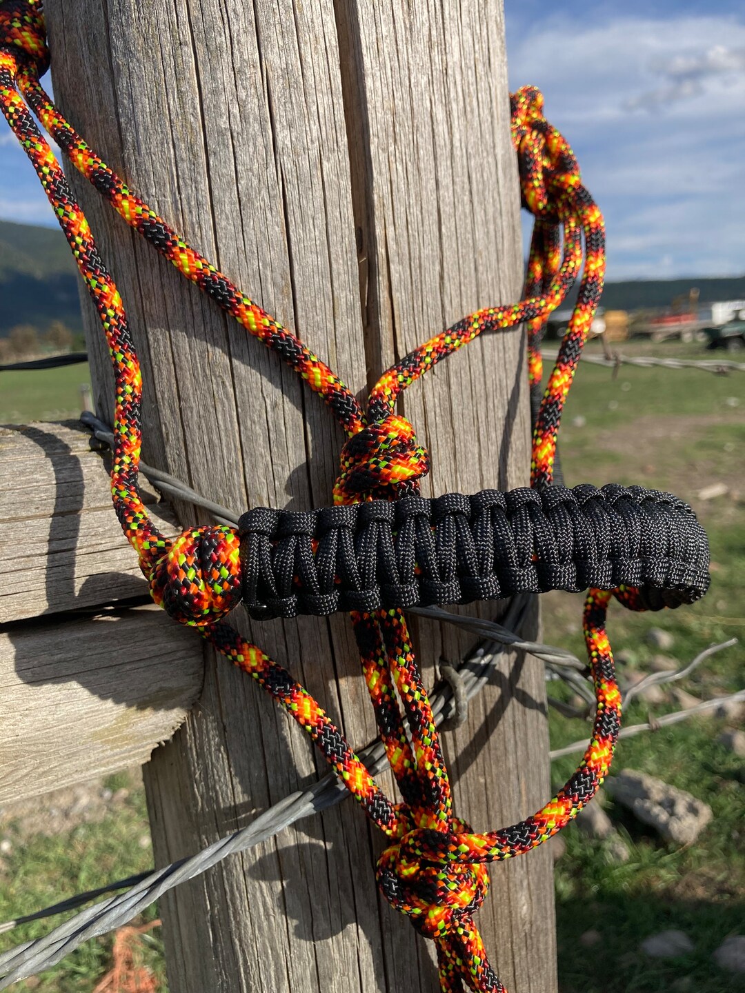 Mini Donkey Halter-orange With Black - Etsy