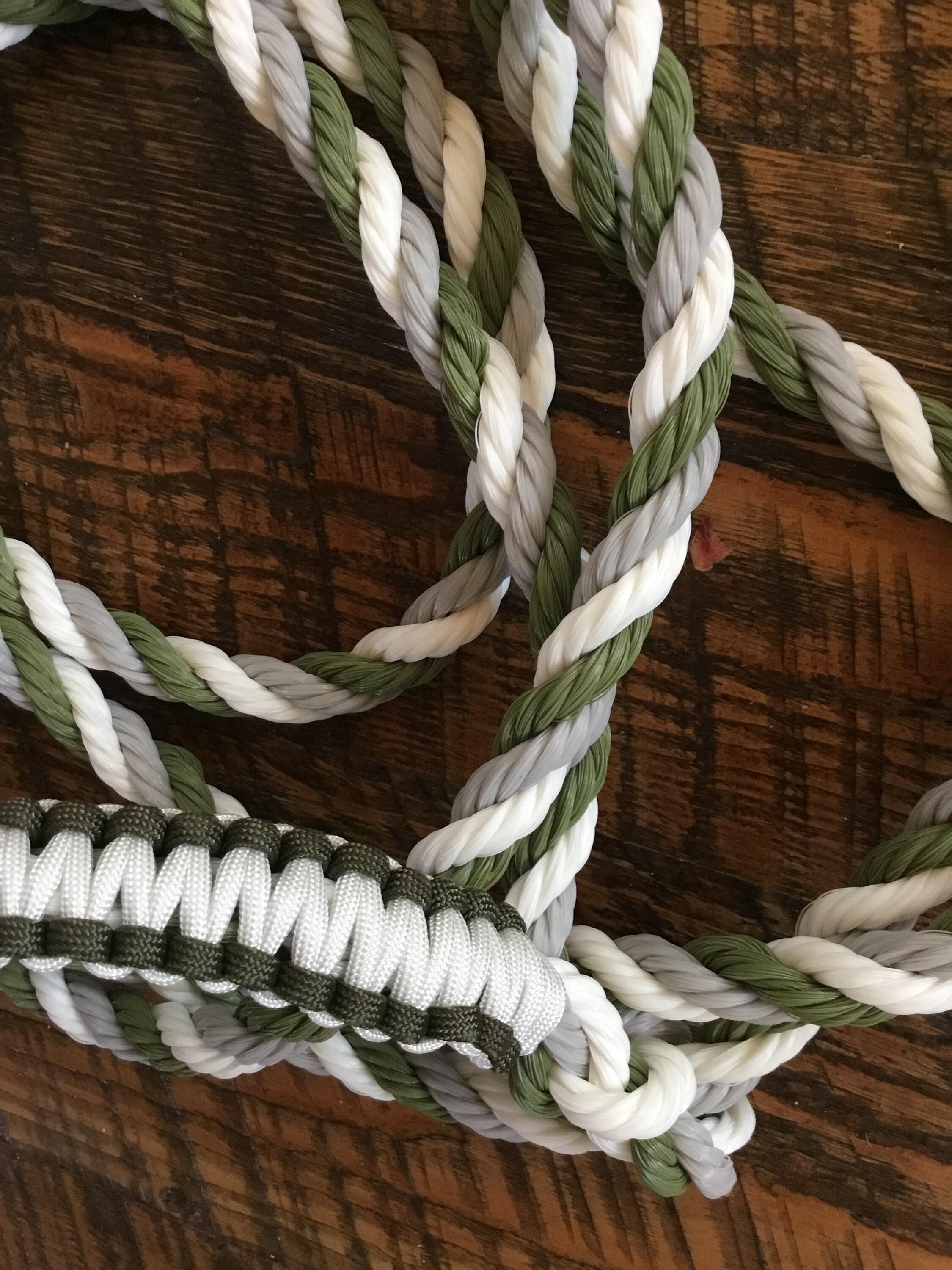 Cow Rope Halter-olive Green and White - Etsy