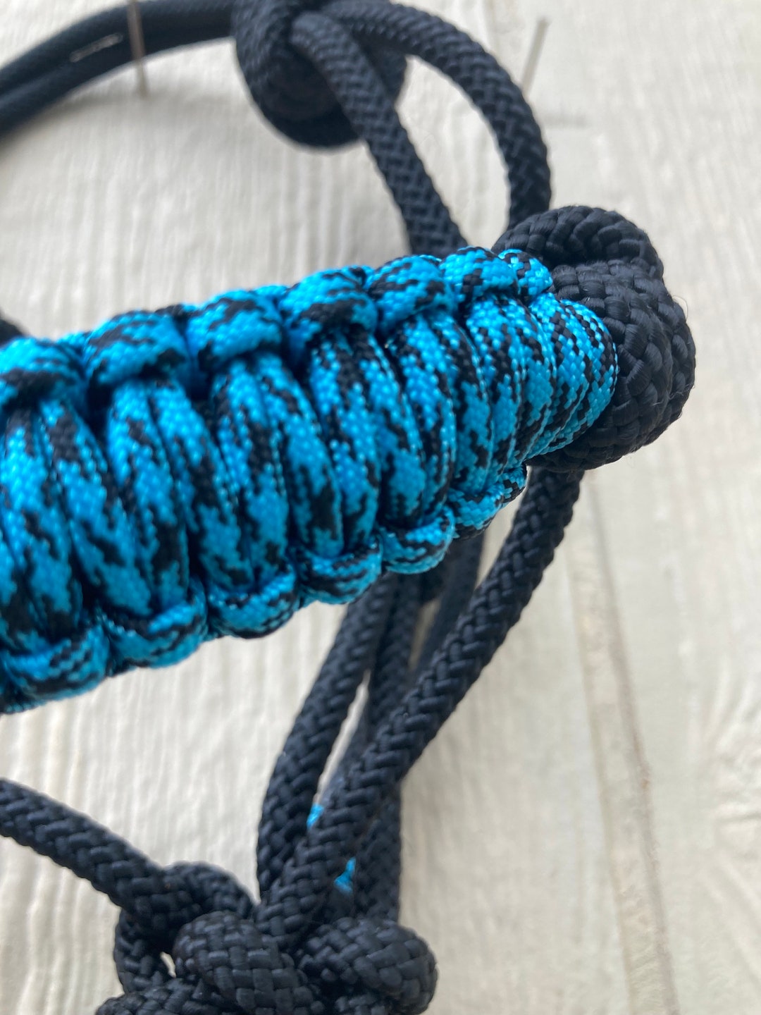 Foal Mini Donkey Halter-black With Turquoise Noseband - Etsy