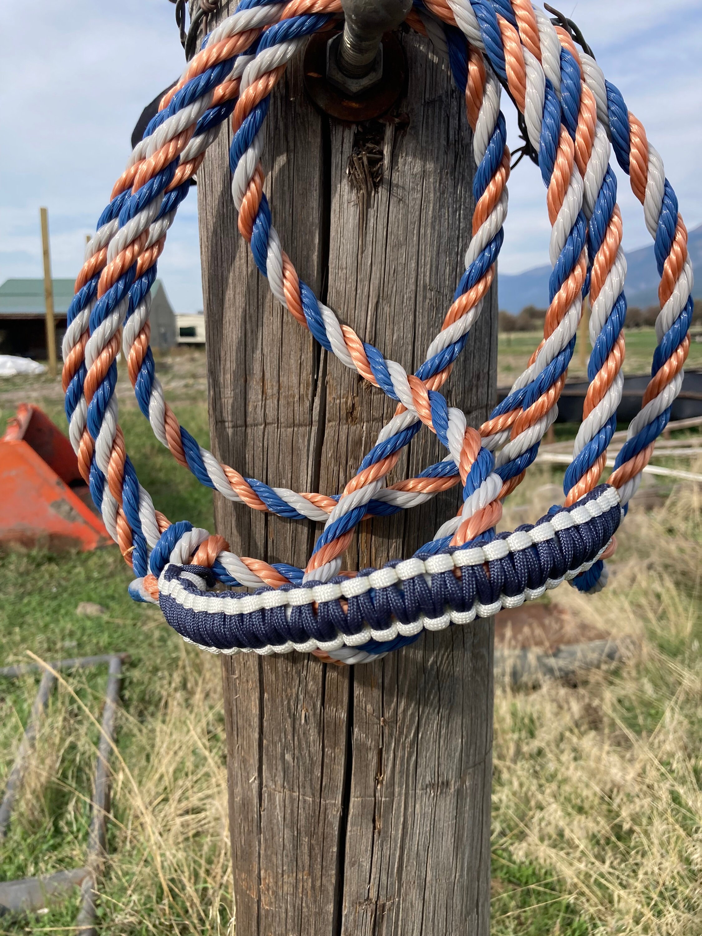 Cow Rope Halter-navy-coral-white - Etsy