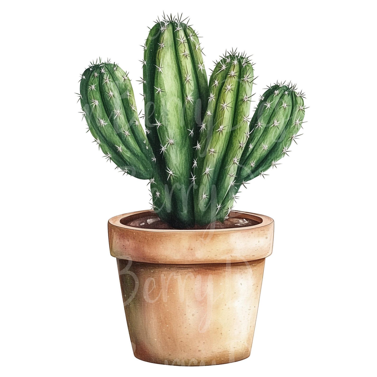 Cactus Clipart, Set of 18 PNG Bundle, 300 DPI Clip Art, Green Cacti ...