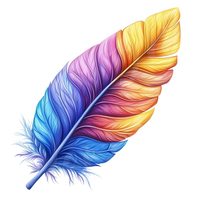Feather Clipart, Set of 12 PNG Bundle, 300 DPI Clip Art, Colorful ...
