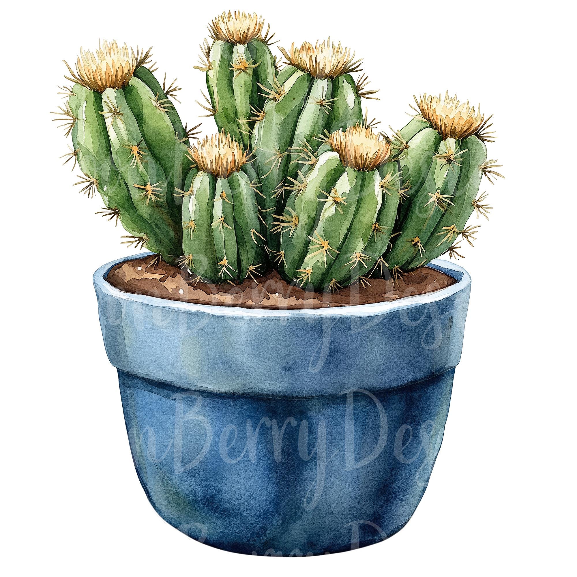 Cactus Clipart, Set of 18 PNG Bundle, 300 DPI Clip Art, Green Cacti ...