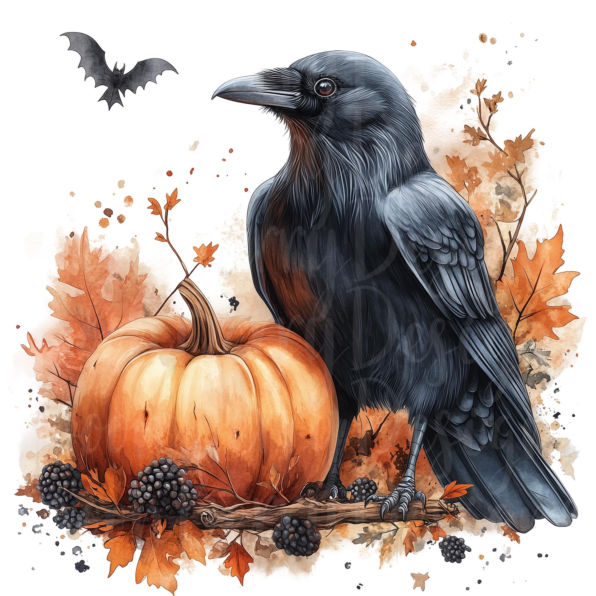 Black Raven Clipart, Set of 10 PNG Bundle, Transparent Background, Fall ...