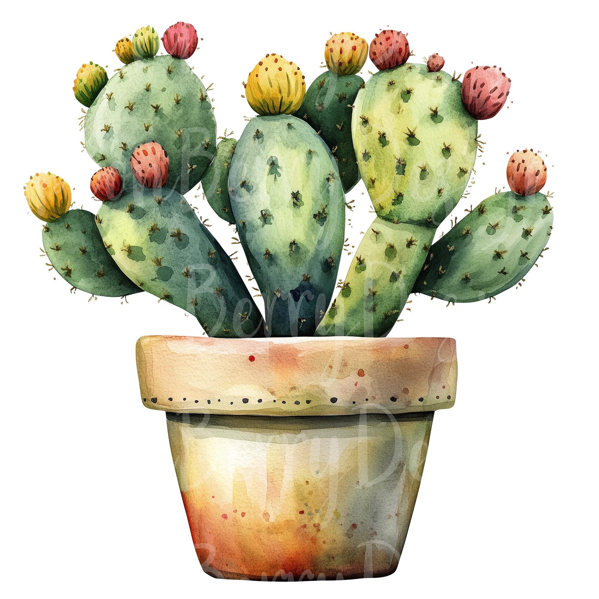 Cactus Clipart, Set of 18 PNG Bundle, 300 DPI Clip Art, Green Cacti ...
