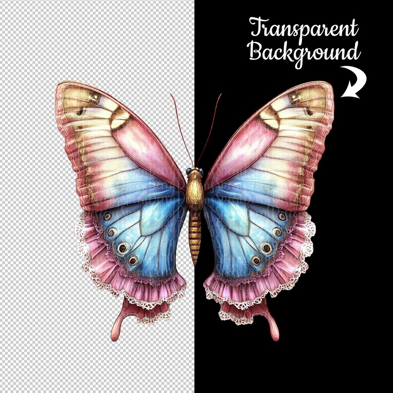 Butterfly Clipart, Set of 10 PNG Bundle, 300 DPI Clip Art, Lace Wing ...