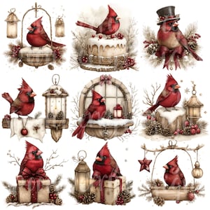 Cardinal Clipart, Set of 34 PNG Bundle, 300 DPI Clip Art, Christmas ...