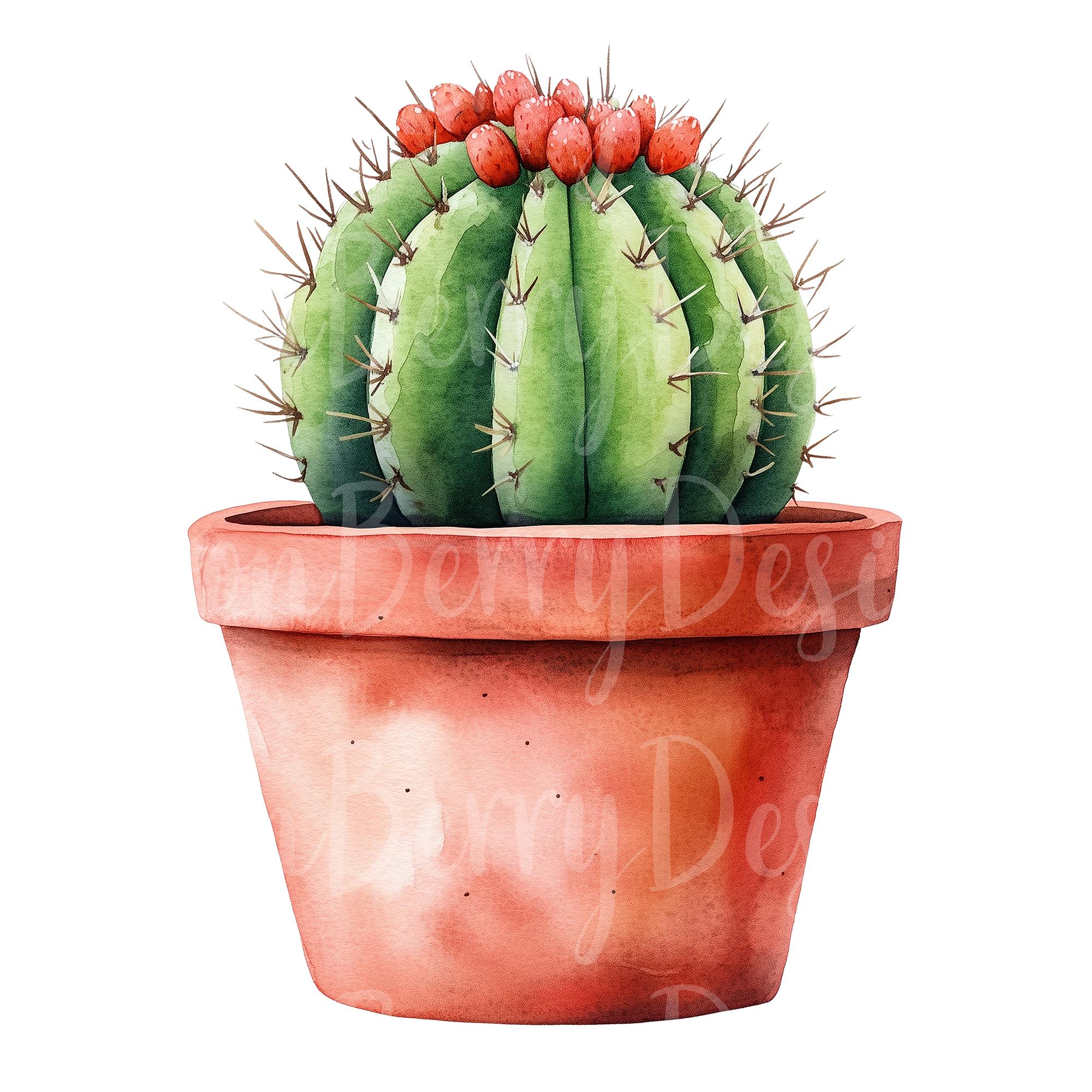 Cactus Clipart, Set of 18 PNG Bundle, 300 DPI Clip Art, Green Cacti ...