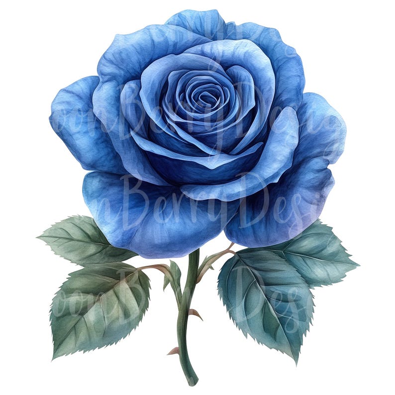 Blue Rose Clipart, Set of 12 PNG Bundle, 300 DPI Clip Art, Wedding ...