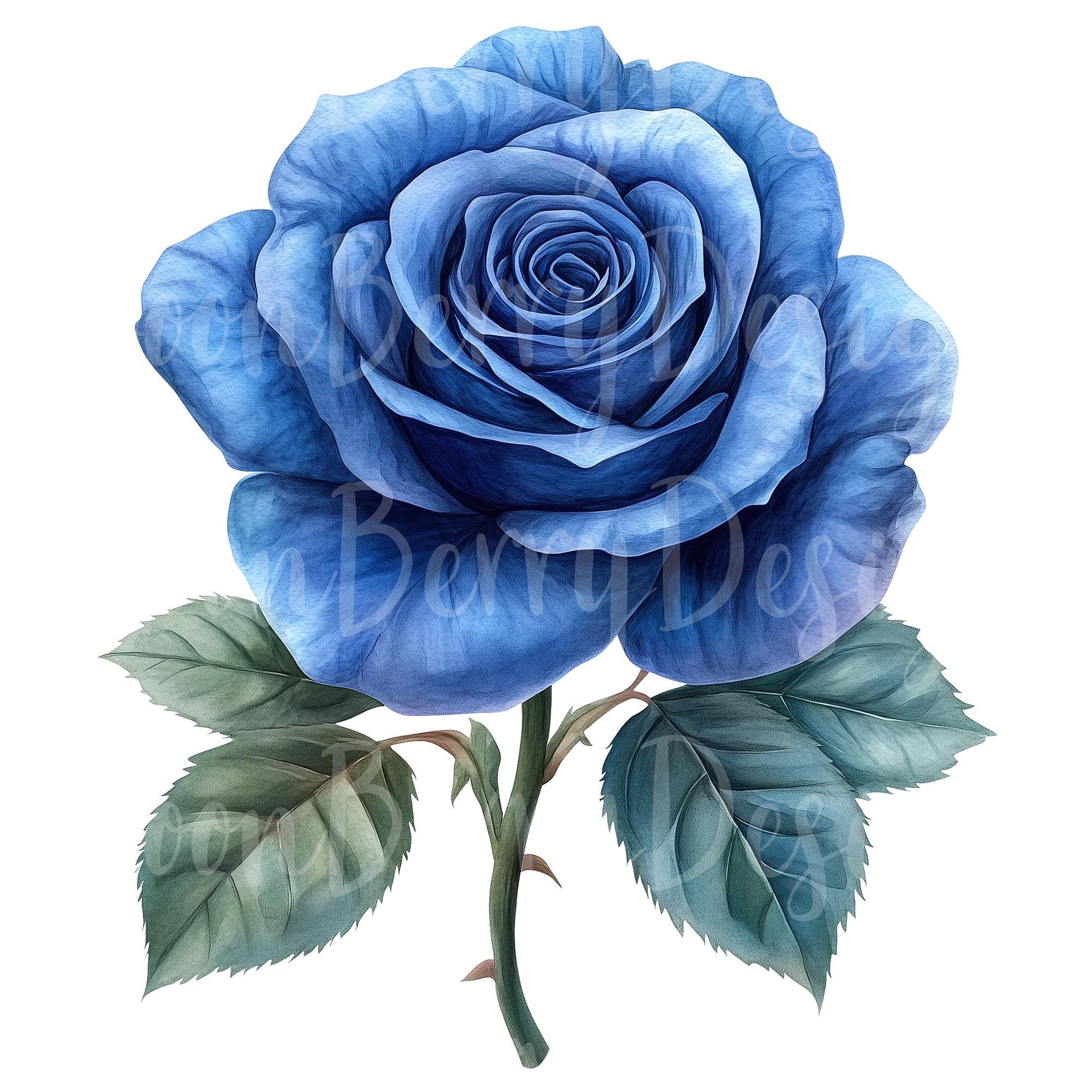 Blue Rose Clipart, Set of 12 PNG Bundle, 300 DPI Clip Art, Wedding ...