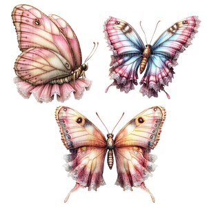 Butterfly Clipart, Set of 10 PNG Bundle, 300 DPI Clip Art, Lace Wing ...