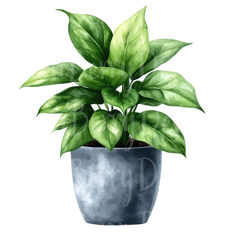 House Plant Clipart, Set of 19 PNG Bundle, 300 DPI Clip Art, Green ...