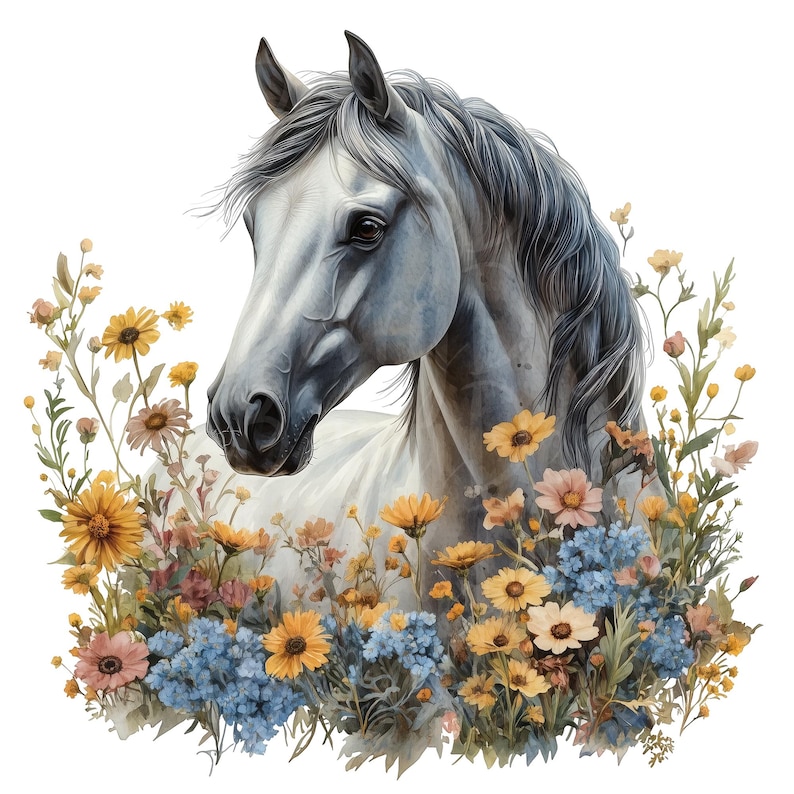 Horse Clip Art, Set of 10 PNG Bundle, Horse Watercolor Clipart, Horse ...