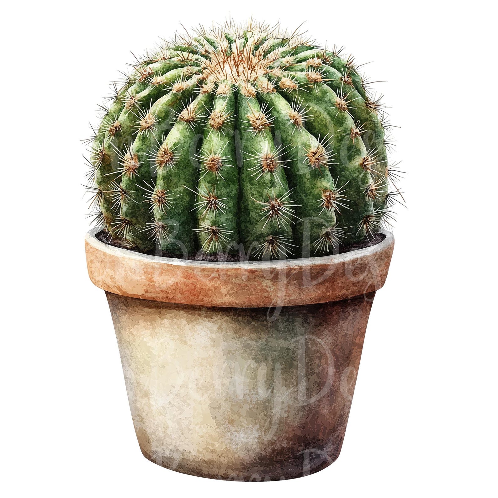 Cactus Clipart, Set of 18 PNG Bundle, 300 DPI Clip Art, Green Cacti ...