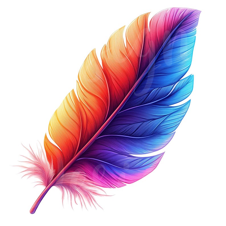 Feather Clipart, Set of 12 PNG Bundle, 300 DPI Clip Art, Colorful ...