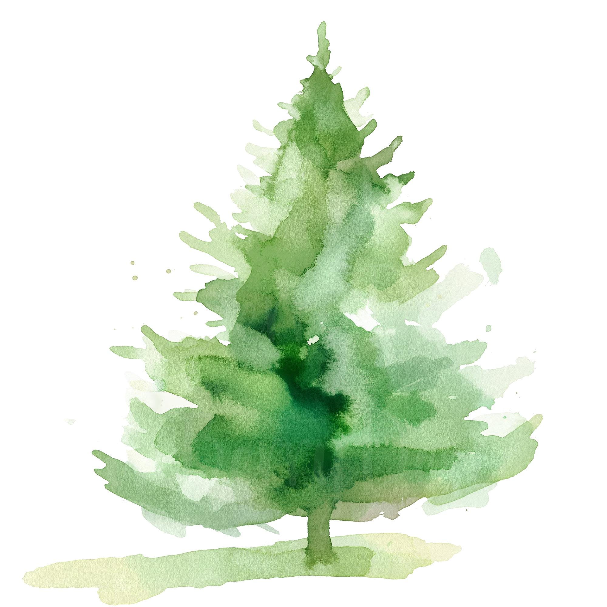 Pine Tree Clipart, Set of 14 PNG Watercolor Clip Art Bundle, Kids ...